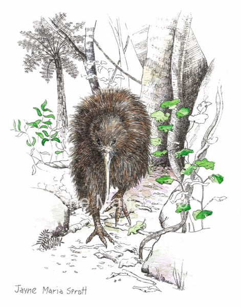 Kiwi-Bird-Painting-New Zealand Native Bird - Pen and Watercolour ...